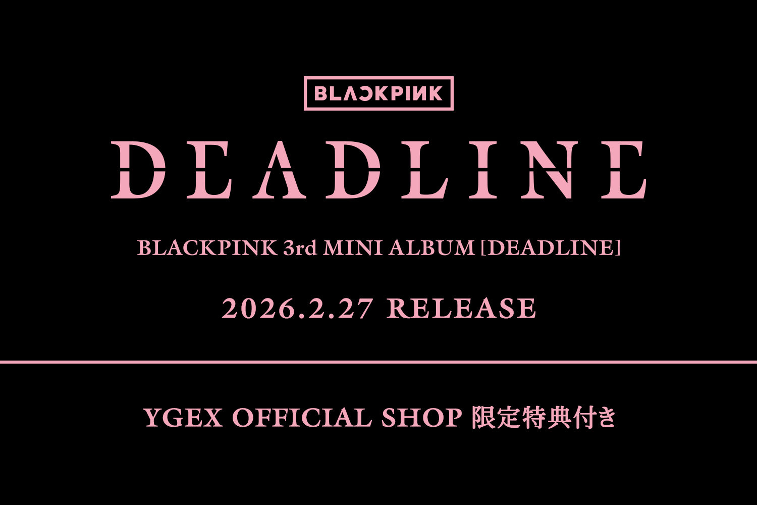 YGEX OFFICIAL SHOP
